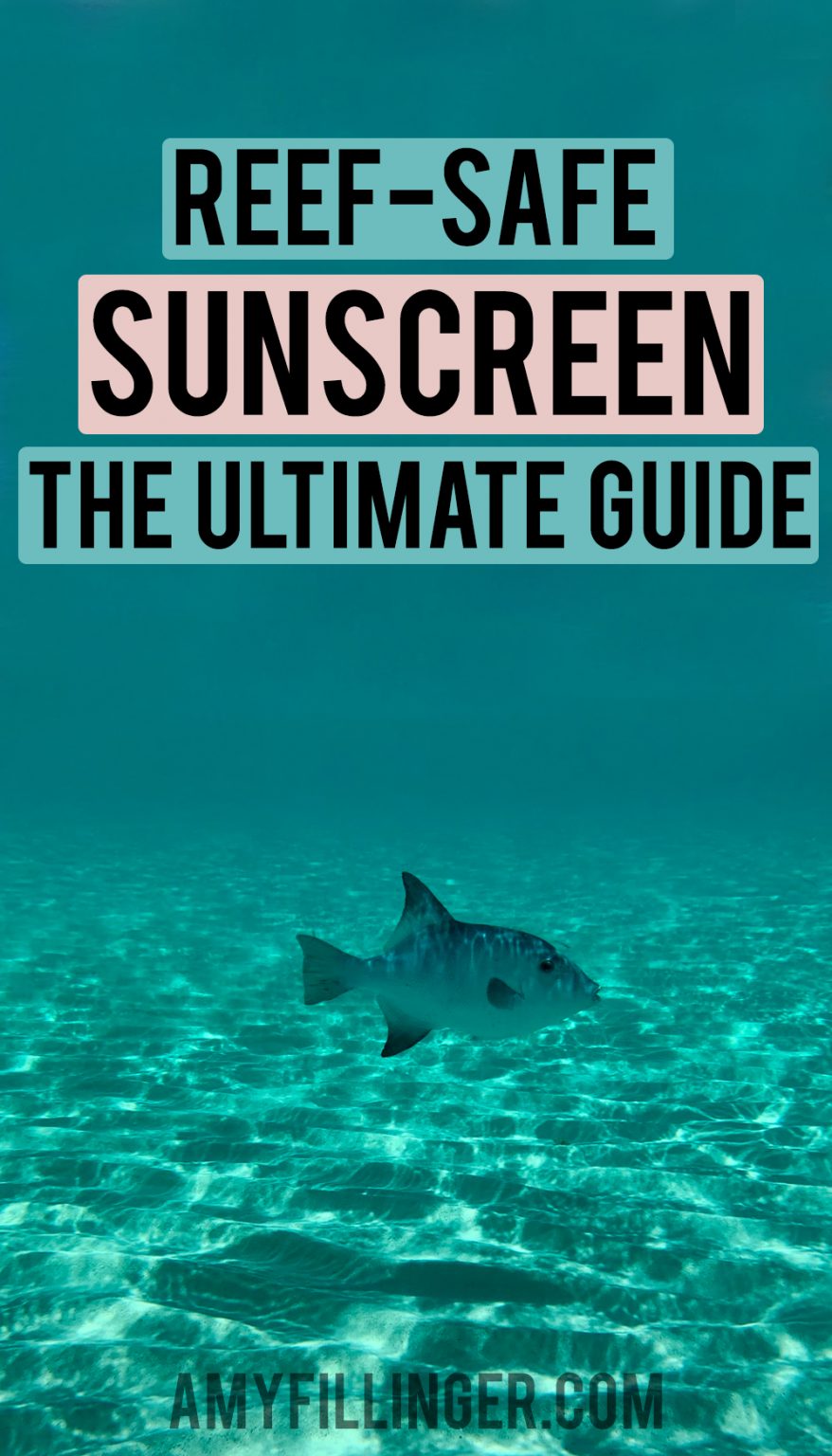 Where to find reef-safe sunscreen and why it matters!