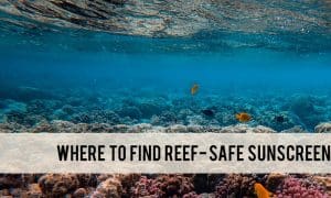 Where to find reef-safe sunscreen and why it matters!