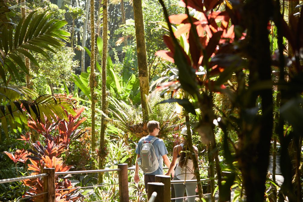 20 things to do in Hilo | Things to do on the East Side of the Big Island