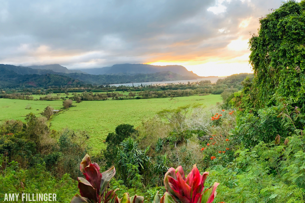 Things to do in Hanalei and the North Shore of Kauai