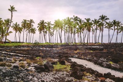 The 12 best scenic drives in Hawaii