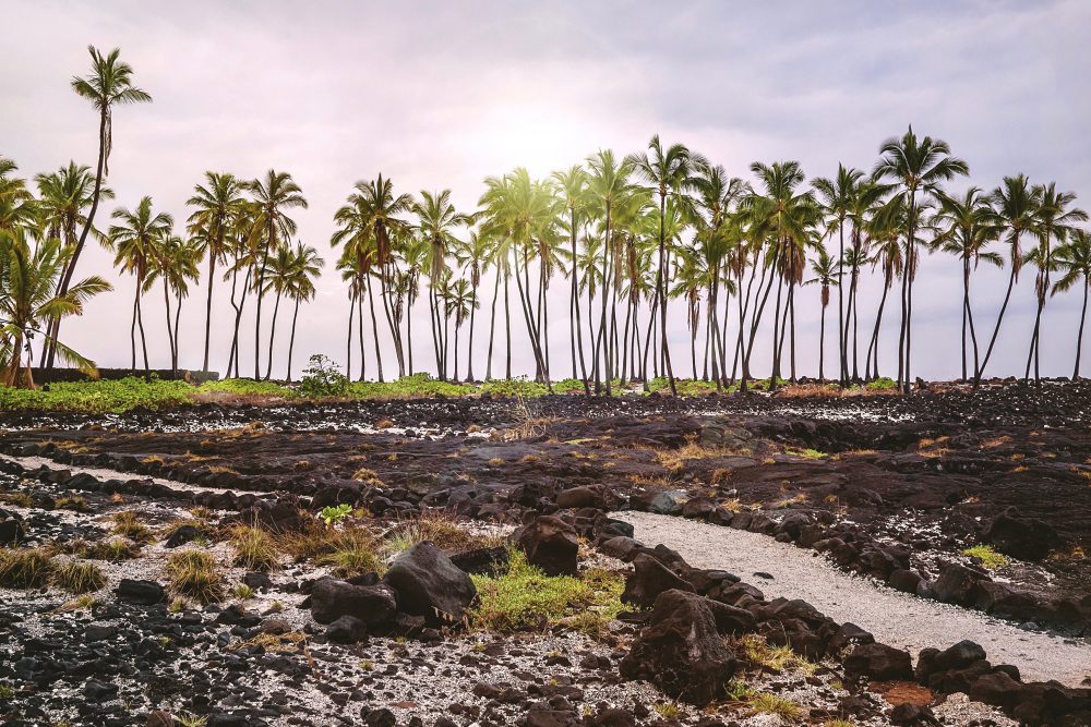 The 12 best scenic drives in Hawaii