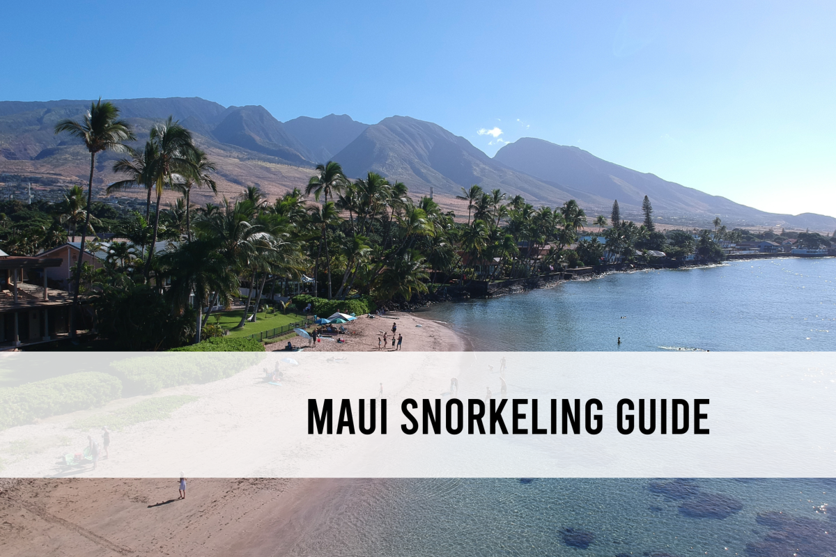 Maui Snorkeling Guide (where to snorkel in Maui)