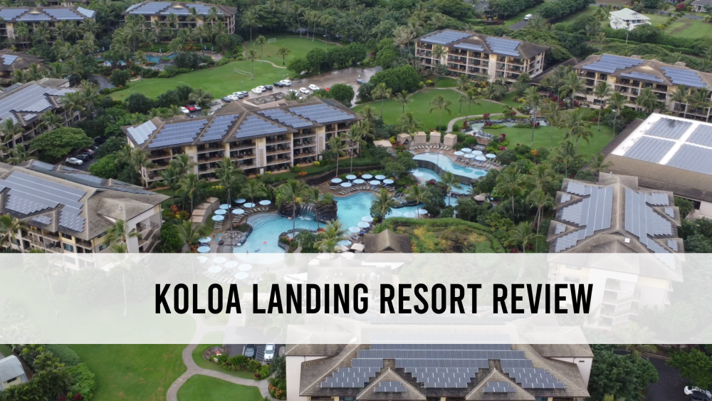 Koloa Landing Resort Review (best Kauai resort for families?)