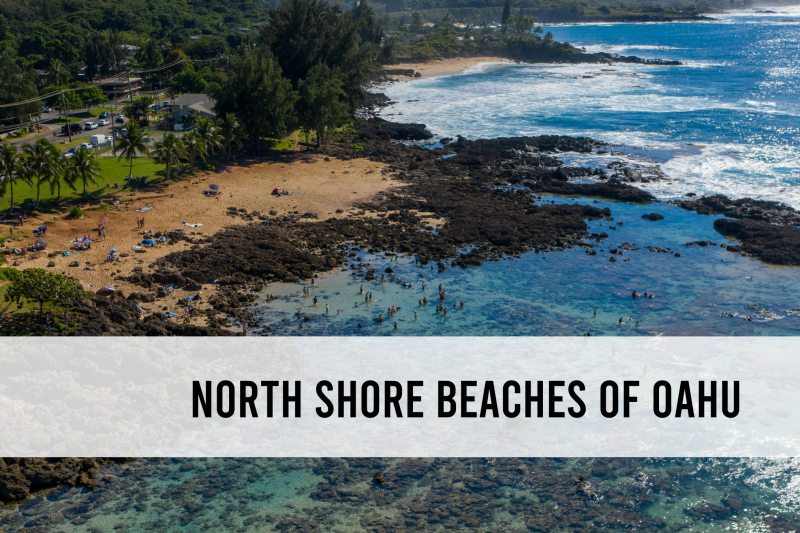 The North Shore Beaches of Oahu