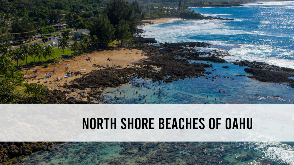North Shore Oahu Beaches The Best Time To Visit The North Shore Of