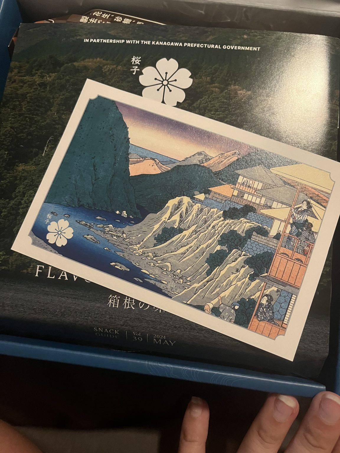 Sakuraco Japanese Snack Box Review