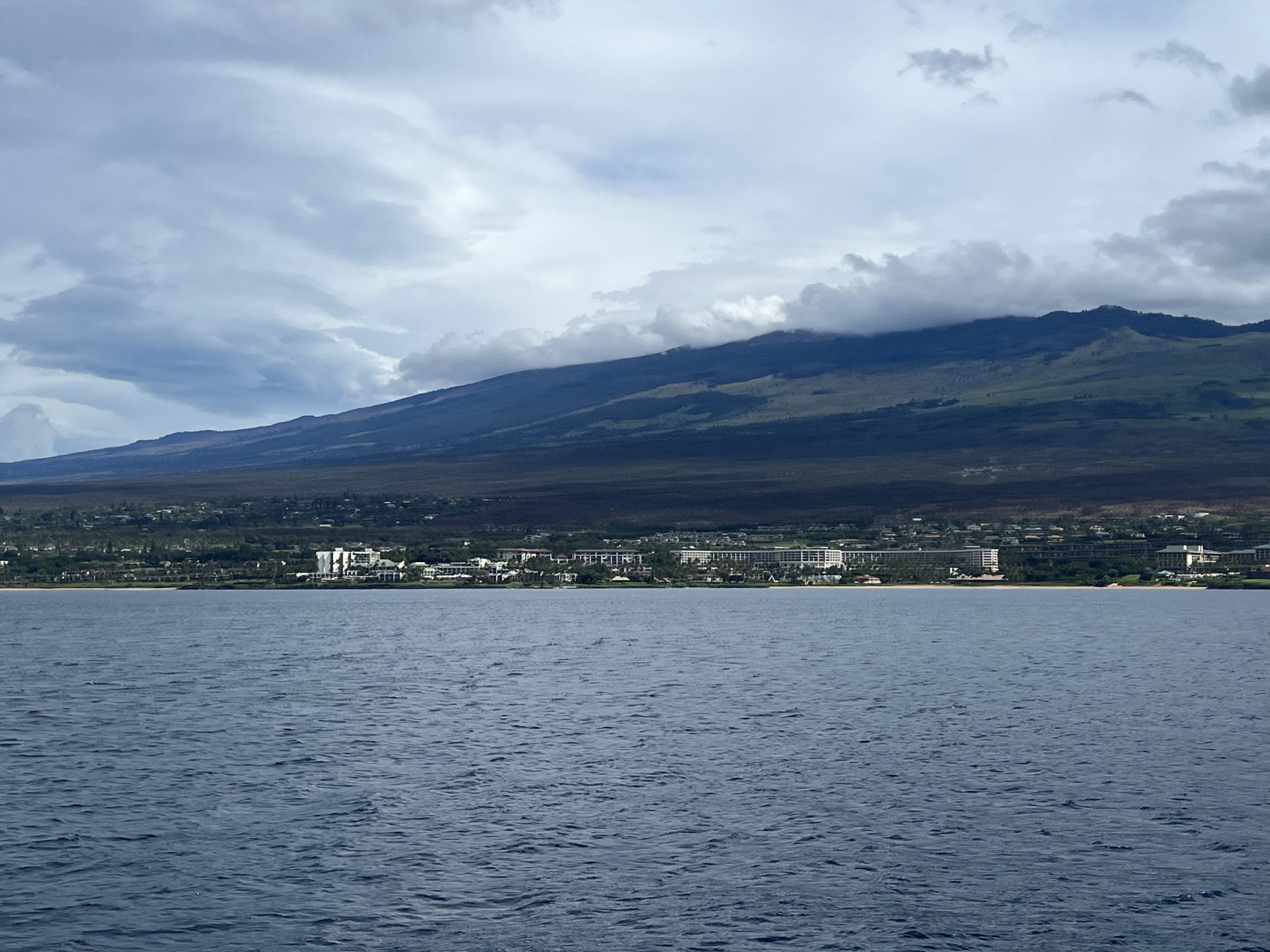 10 best Molokini Crater Snorkeling Tours